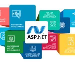 Asp.net development - ASP .NET Development India - WebzGuru